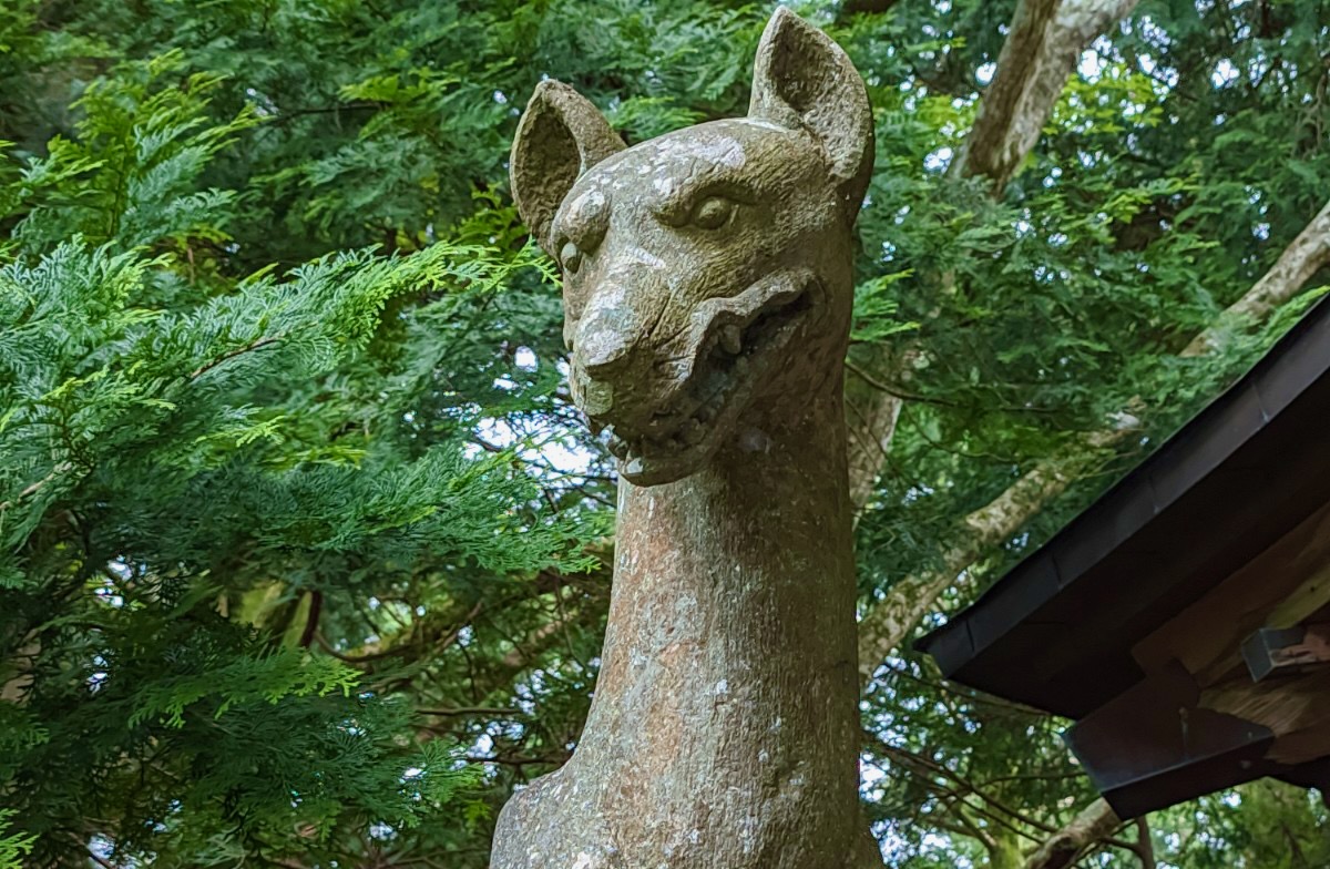 Ōkami: Japanese Wolf Part 2 Legends and Lore (Ep. 110) - Uncanny Japan ...